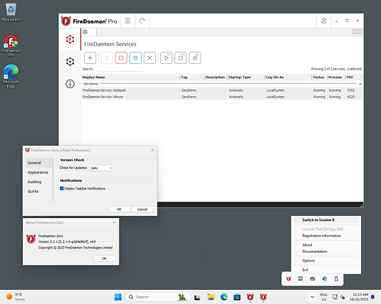 Run Any Application Program Script as FireDaemon Windows Service